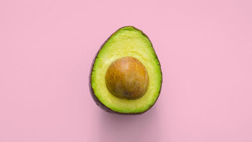 Hydroponic Avocado Growing: Unlock The Secrets To A Thriving Tree ...